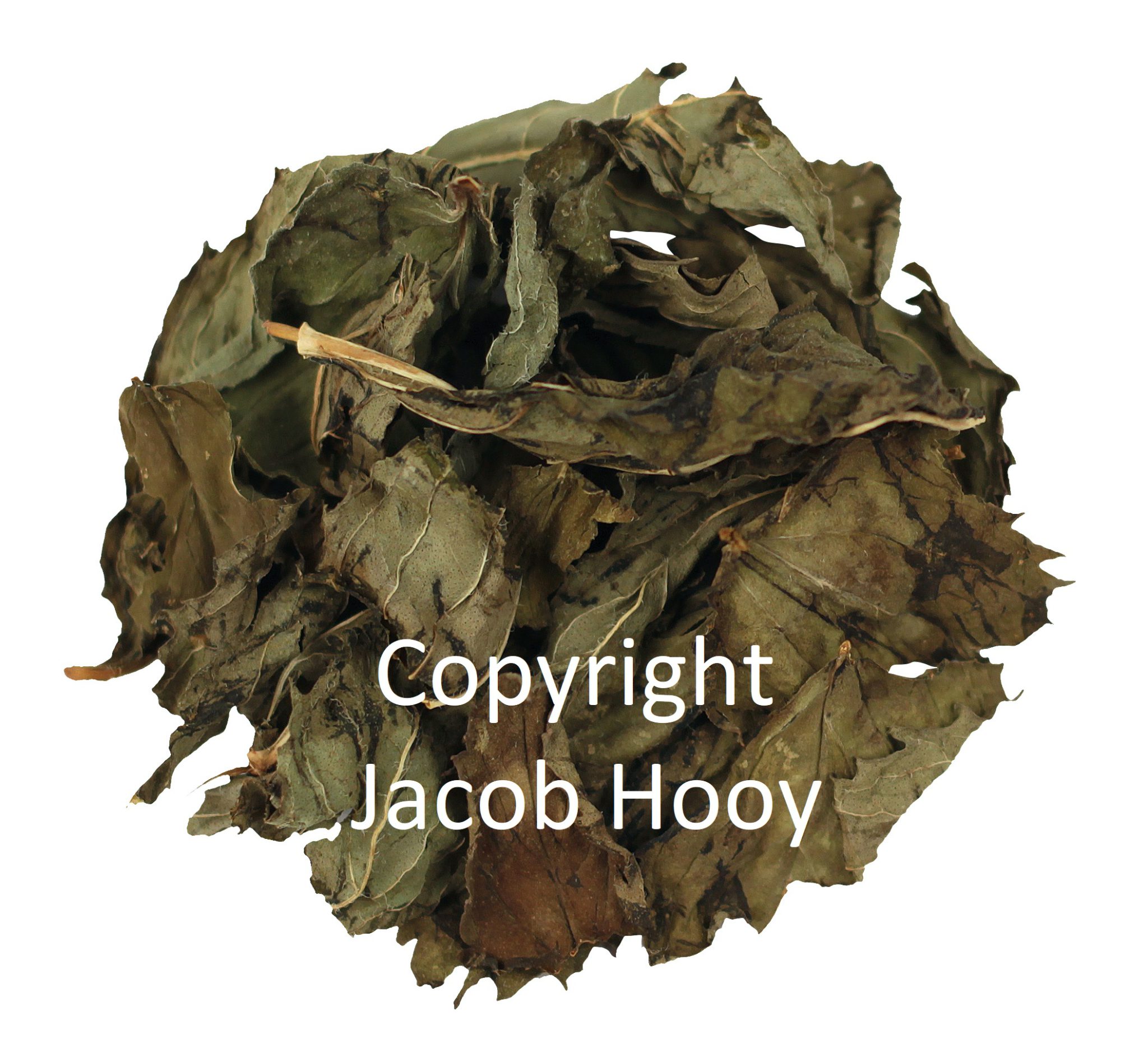 Jacob Hooy heeft een zeer uitgebreid assortiment. Dit assortiment ...