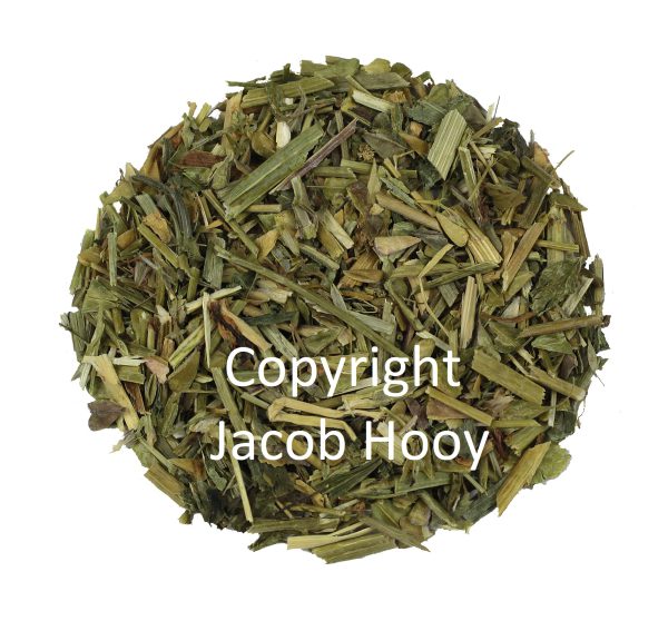 Contact - jacob-hooy